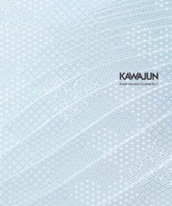 Premium Interior Solutions Manufacturer – KAWAJUN